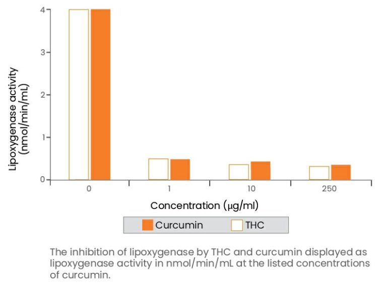 Anti-inflammatory potential – Curcumin C3 Reduct®