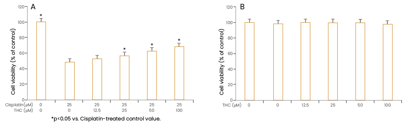 Renal protection potential – Curcumin C3 Reduct®