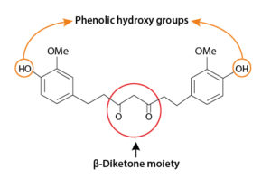 Antioxidant potential – Curcumin C3 Reduct®